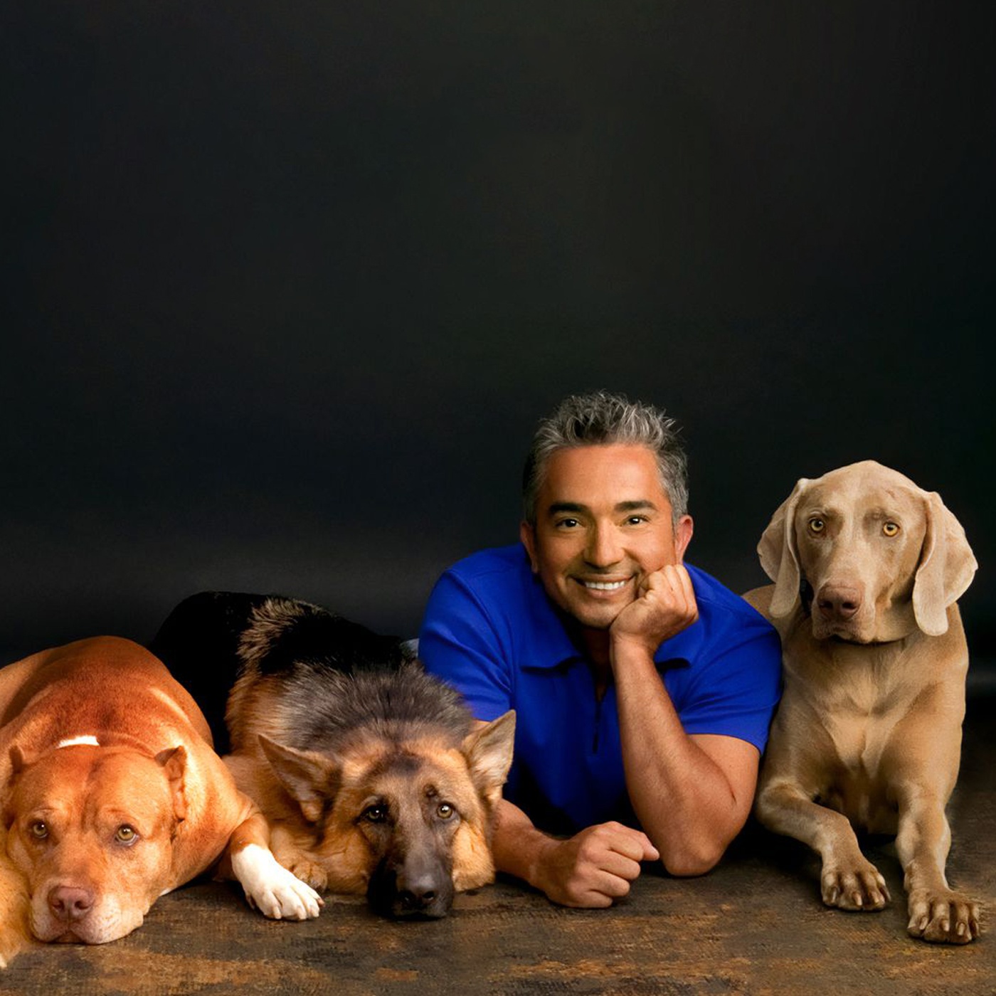 Caesar Milan Behavior Modification