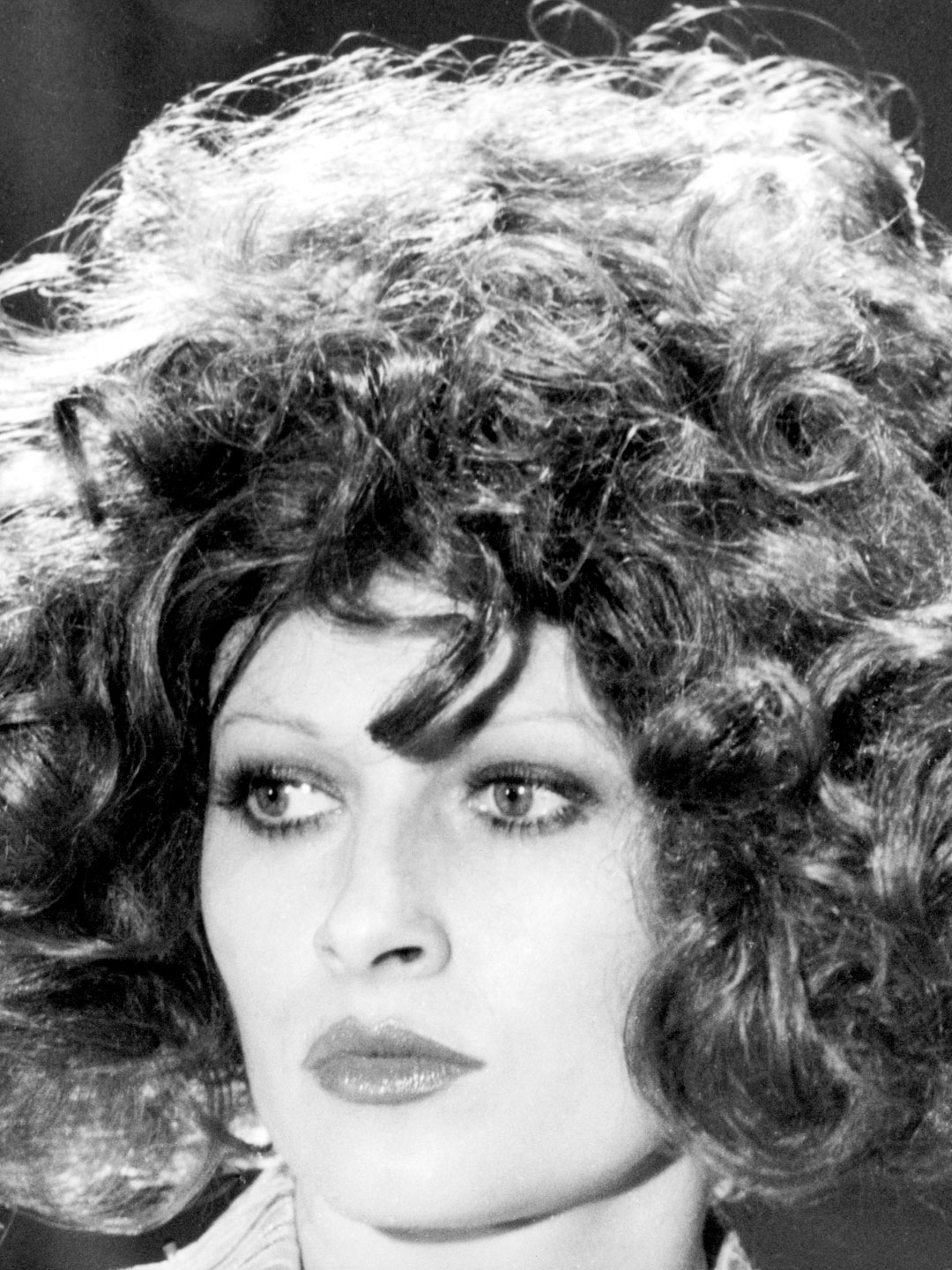 Tony Font's Instagram, Twitter & Facebook on IDCrawl