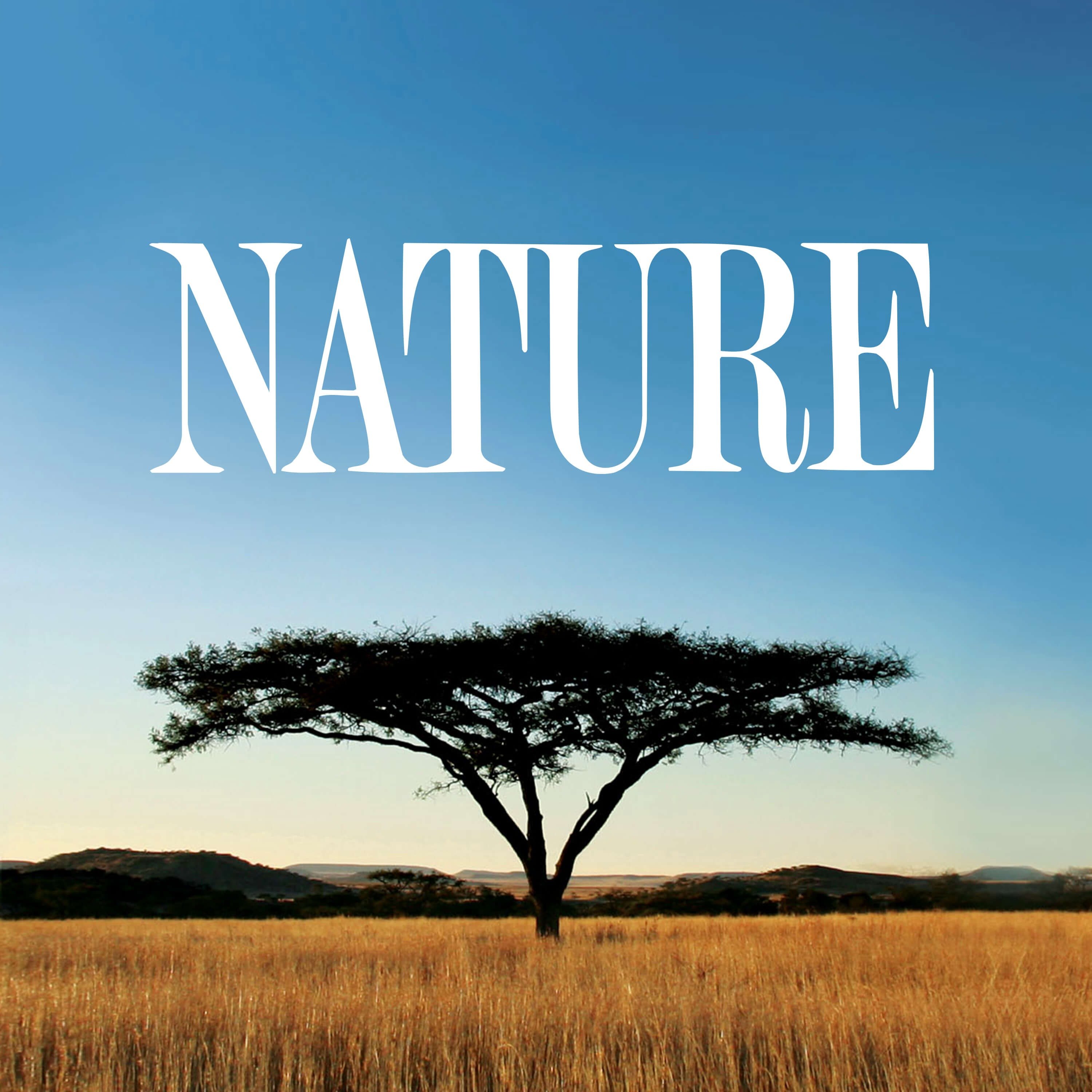 Pbs Nature Logo