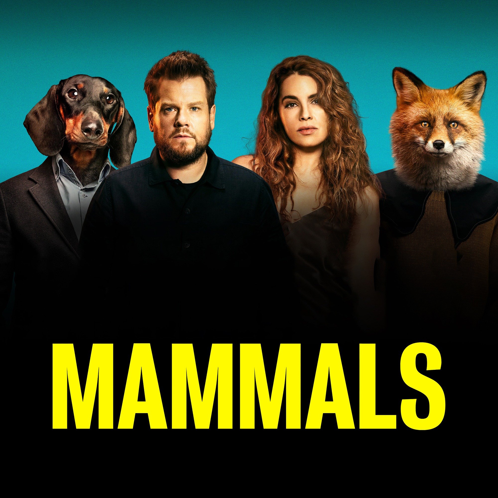 The Best Cheating TV Series & Shows About Infidelity, Ranked by Fans